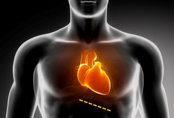 Autopsy Center of Chicago New Procedure: Small Incision Autopsy ...