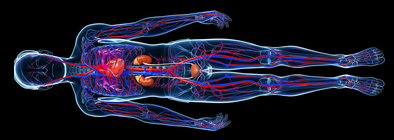Autopsy Education: | Autopsy Center of Chicago